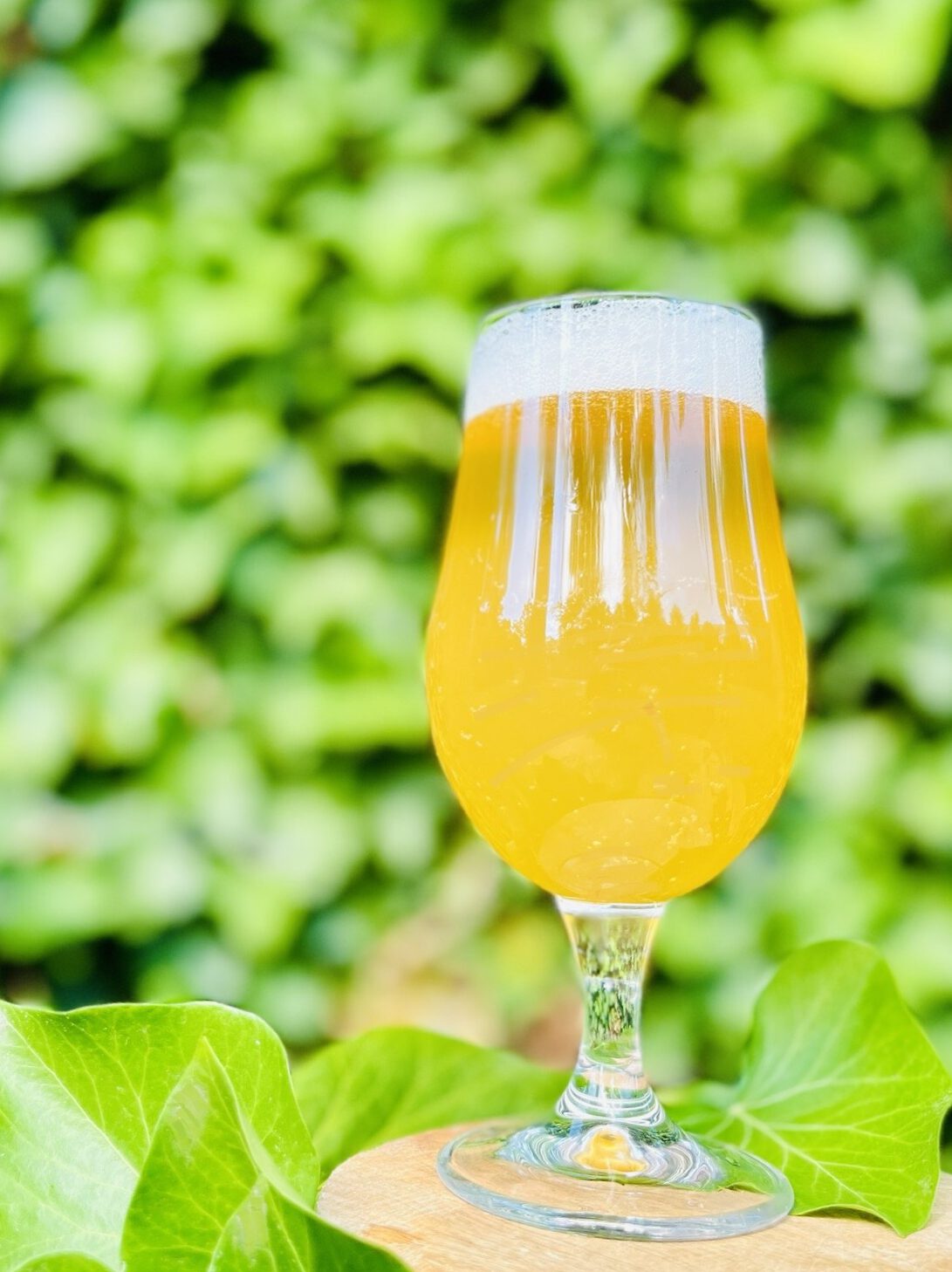 Jabara with beer - JABARA | Special miraculous fruit liquor.