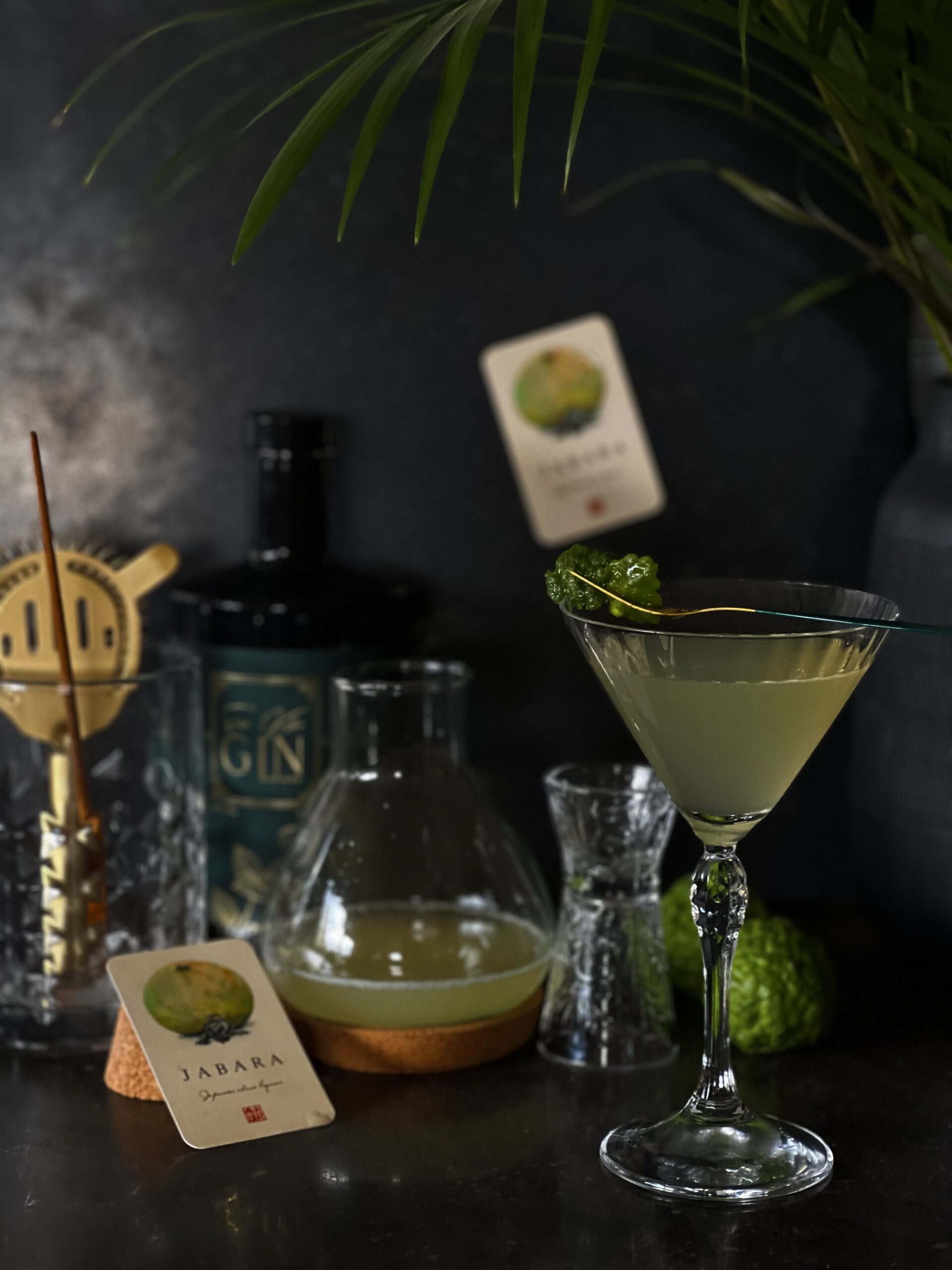 Jabara Saketini - JABARA | Special miraculous fruit liquor.